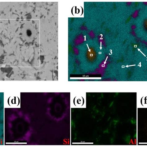 A Sem Image Of Polished Cross Section Of 10 Csfti3sic2 B Element Download Scientific