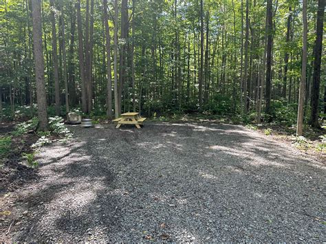 Best Camping In Keuka Lake State Park Ny 2026