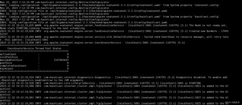 Apache Seatunnel 及 Web 功能部署指南小白版 知乎