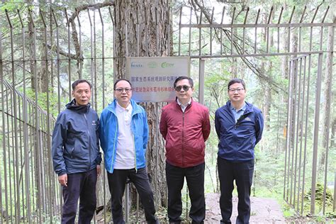 西藏林芝高山森林生态系统国家野外科学观测研究站