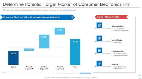 Determine Potential Target Market Of Consumer Electronics Firm