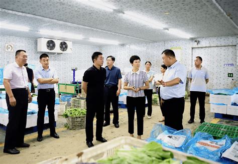 市纪委监委调研组来我县调研乡村振兴和专项整治等工作监督李艳丽创新