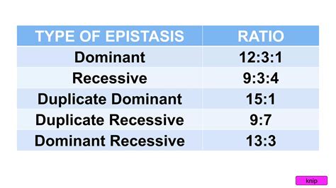 Epistasis Pptx
