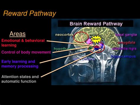 Substance Use Disorders Ppt Download