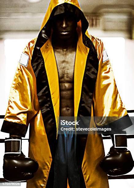 젊은 숫나사 Boxer 권투 스포츠에 대한 스톡 사진 및 기타 이미지 권투 스포츠 권투 선수 가운 복고풍 Istock