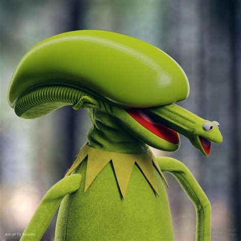 Cell Kermit What The Fuck Rningen