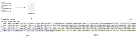 FILE INTEGRITY MONITOR Angie Rico Website