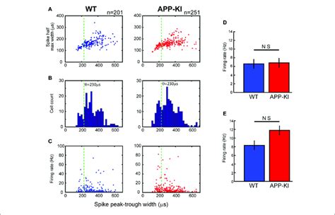 Neurons In App Ki Mice Showed Normal Spike Waveform And Firing Rate