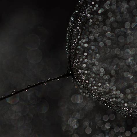 How To Create Beautiful Bokeh Images Artofit