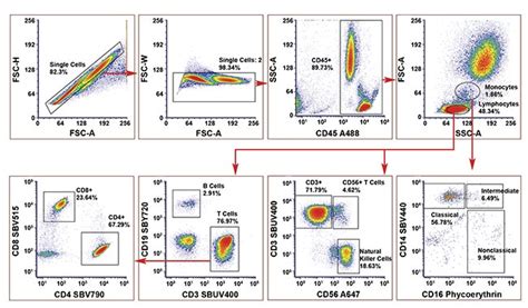 Simplifying Flow Cytometry Through Panel Design Features Marapr