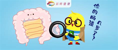 肠道年龄影响寿命？自测肠道年龄，了解你的肠道 知乎