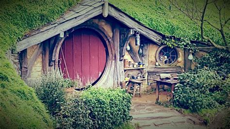 British Druid Order What Brought You To An Interest In Druidry There Are Many Prompts That British Druid Order What Brought You To An Interest In Druidry There Are Many Prompts That