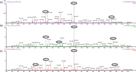 Lc Qtof Msms Spectra Of M H ⁺ Ions At A Mz 1008 Fragmentation
