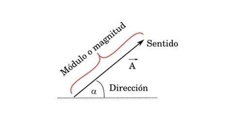 Suma De Vectores Método Analítico Asesoría De Matemáticas Y Física