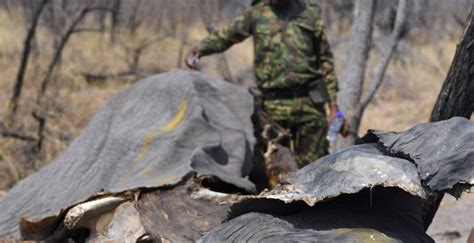 Debating Cbnrm 2025 Botswana Gazette