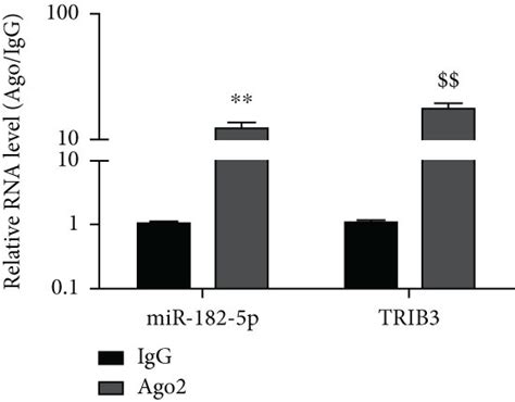 Trib3 Is A Downstream Target Of Mir 182 5p A Binding Sites Between