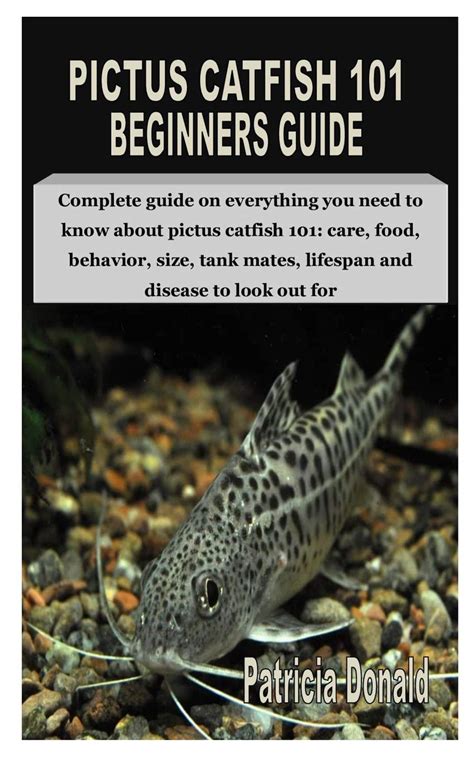 Buy PICTUS CATFISH 101 BEGINNERS GUIDE Complete Guide On Everything