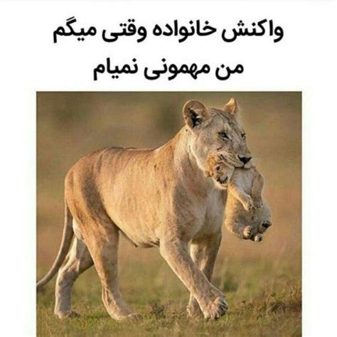 عکس پروفایل خنده دار خفن و دخترانه پروفایل خنده دار تیکه دار