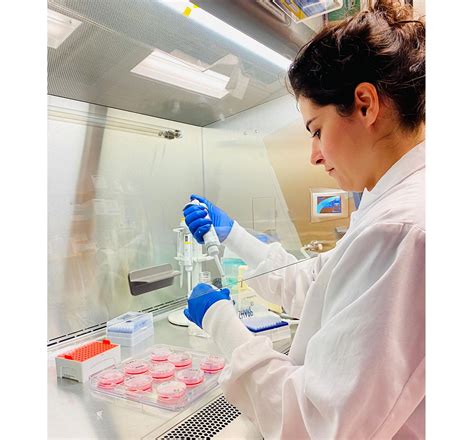 Науковці створили крихітних роботів з клітин людини