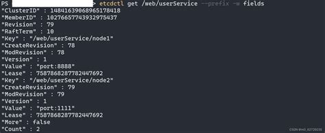 Go语言etcd实现服务注册发现golang Etcd 实现服务注册中心 Csdn博客