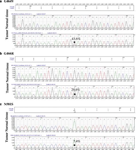 Braf Mutations Detected In Histiocytic Sarcoma By Next Generation Download Scientific Diagram