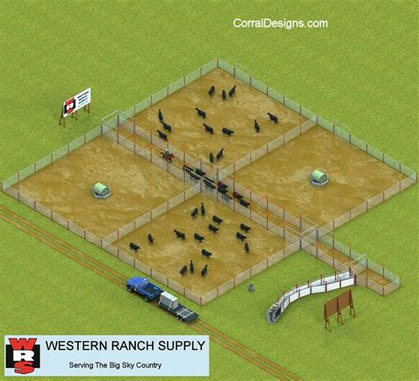 Cattle Farming Cattle Ranching Livestock Sheep Feeders Cattle
