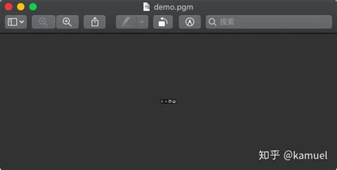 刻意练习ffmpeg系列：最简单的图像格式pgm灰度图 知乎