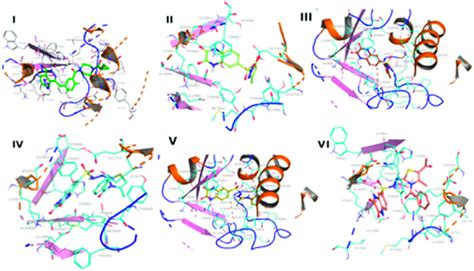 The Binding Modes Of Olaparib I 4 Ii 5 Iii 10b Iv 8a V