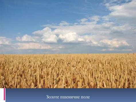 Презентація На перехресті доль