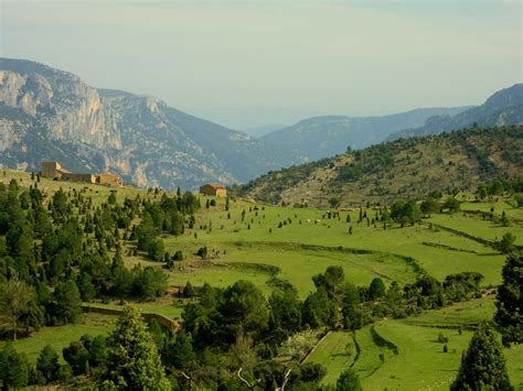 MAS DE CAMPOS