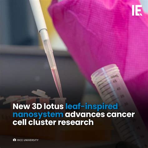 Interesting Engineering On Linkedin This Platform Enables High Throughput Cancer Cell Culturing