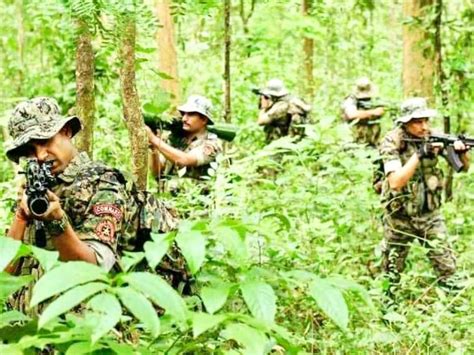 10 Naxalites Killed In Encounter In Chhattisgarhs Sukma છત્તીસગઢમાં