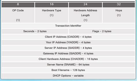 Ccna 2 Dhcp Flashcards Quizlet