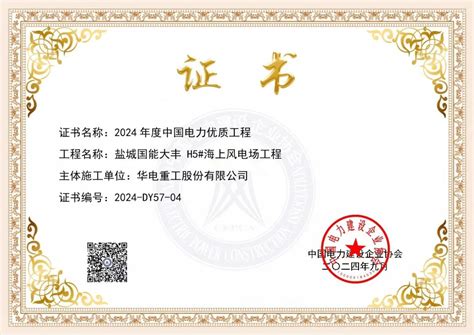 华电重工承建！国能大丰h5海上风电项目获评2024年度中国电力优质工程 能源界