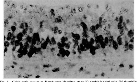 Double Labelling Method At Eve Kranewitter Blog