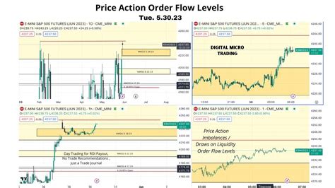 Price Action Order Flow Levels Tue 53023 Youtube