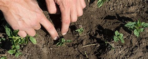 How We Treat Every Day Like Earth Day