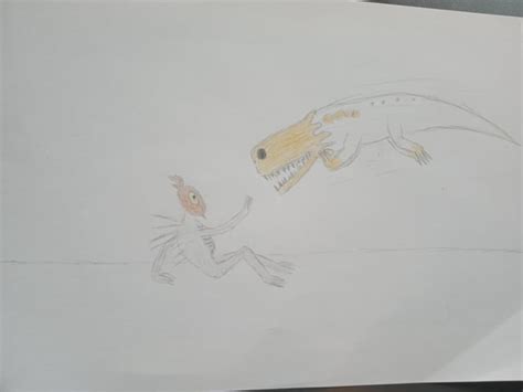 The Lizards Caramel Rrainworld