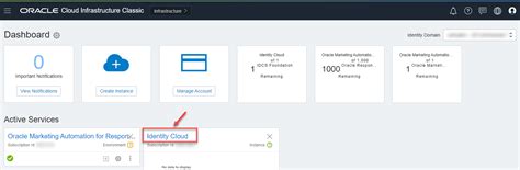 Adding Users Using Oracle Identity Cloud