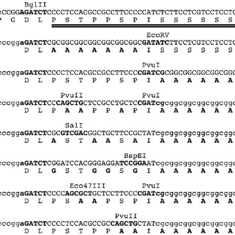 Nucleotide Sequences Encoding The Pest Sequence In The Expression