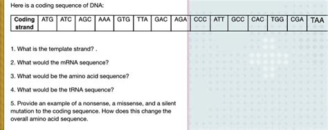 Solved Here Is Coding Sequence Of Dna Coding Atg Atc Agc Aaa Gtg Tta