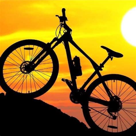 Унадаг дугуй худалдаа сэлбэг засвар