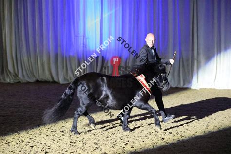 Sa92234 2024 1st Class Images