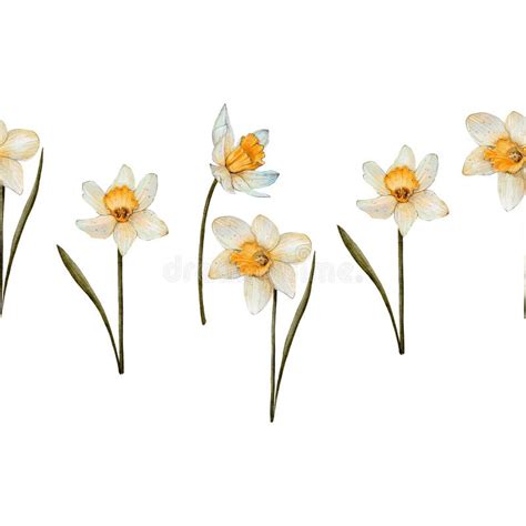 Seamless Border Banner Yellow Daffodils Stock Illustration