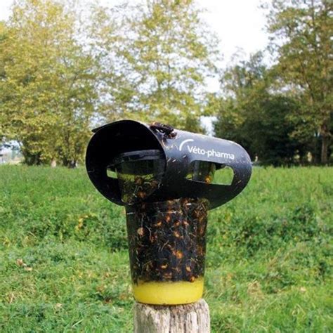 Vespa Catch Asian Hornet Trap Foxhound Bee Company