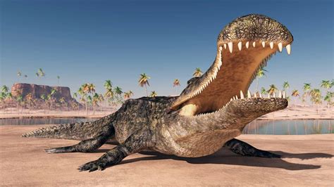 Meet The Ancient Crocodile Twice The Size Of A Car And With 100 Razor