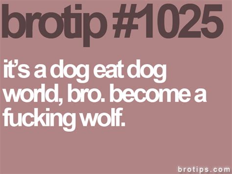 Brotips™ Funny Quotes Quotes To Live By Words