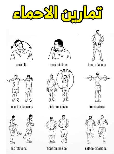 أقوى تمارين عضلات الظهر للمبتدئين 2025 All Body Workout Back Workout Fitness Body