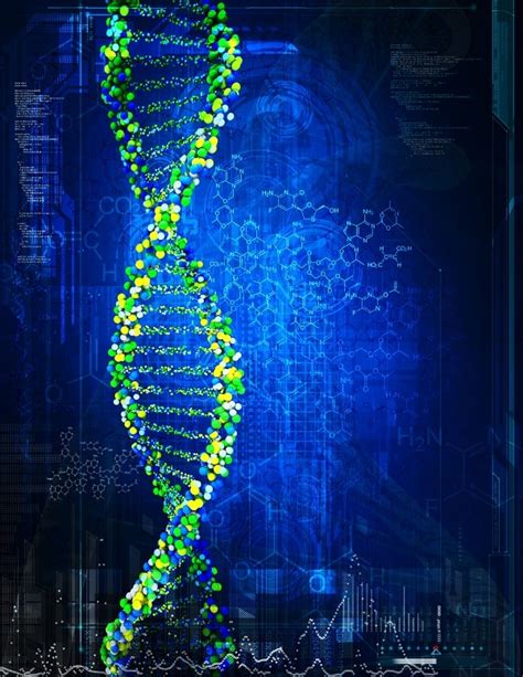 Genética Y Gemónica Regulación En Estados Unidos De Los Análisis Genéticos