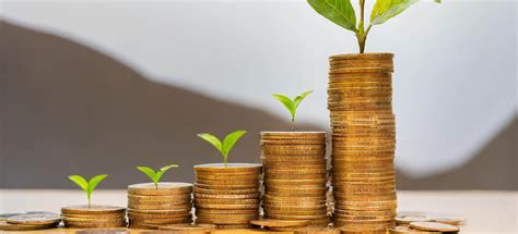 Compensação do Equilíbrio Econômico e Ambiental MartinsZanchet
